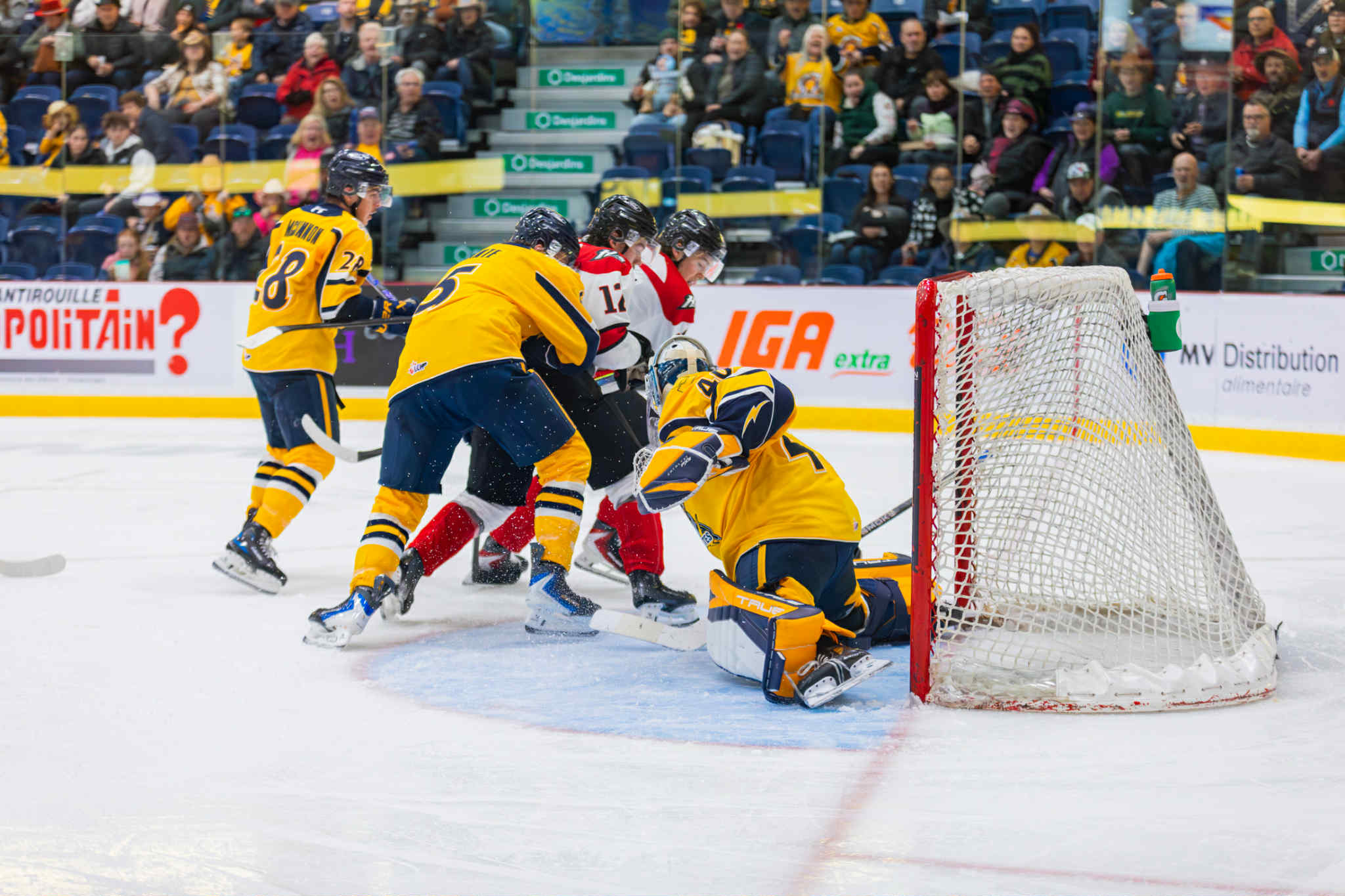 Phillippe Boucher s’offre une première victoire dans la LHJMQ - Source ...